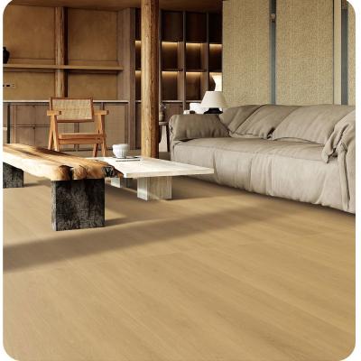 Chine Marron clair 600x1200mm carreaux de fond et durable plancher intérieur bois regarder carreaux de porcelaine pour le bureau à vendre