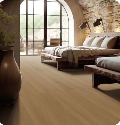 Chine Carreaux durables 120x60cm et SGS plancher intérieur Carreaux de porcelaine en bois pour le salon à vendre