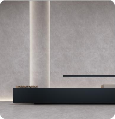 Cina Grado AAA Resistente alle macchie e antibatteriche Piastrelle di porcellana grigia matta 750x1500mm Per soggiorno e bagno in vendita