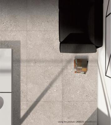 Cina Antiche piastrelle per pareti interne 600x600mm Terrazzo Piastrelle di porcellana per ristrutturazione e appartamento in vendita