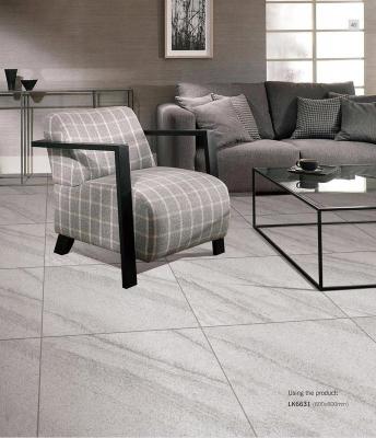 China Antibacterial 600x600mm Full Body Porcelain Tiles And Gray Outdoor Wall Tile For Kitchen And Apartment for sale