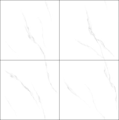 Cina Piastrelle in porcellana smaltata lucida Carrara 800x800mm resistenti alle macchie e ignifughe per camera da letto e progetti in vendita
