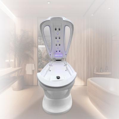 Quality Remote control Electric Ozone Sauna Spa Capsule Massage System for sale