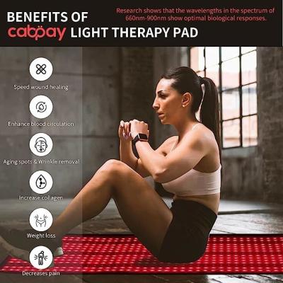 Cina 660 850nm Far Infrared Slimming Red Light Therapy Belt per il sollievo dal dolore e la bellezza della pelle in vendita