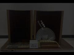 Waterproof Germanium Far Infrared Sauna Dome Spa Capsule ODM
