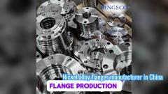 Monel 400 Forged Flange - Corrosion Resistant Nickel-Copper Alloy Flange