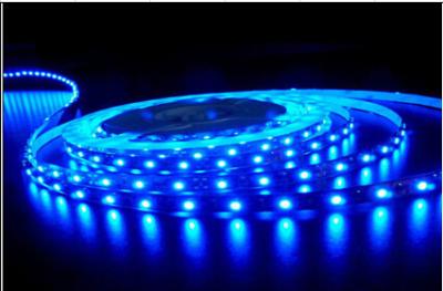 China super bright 24W Roll 3528 SMD 5M LED Strip / advertising light box led strip tape for sale