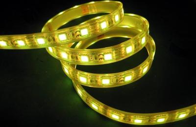 China Flexible 5050 SMD IP68 Led Strip Waterproof Cool white LED Lighting 6000k - 6500K for sale