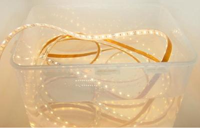 China Warm White 2800K Waterproof IP68 Led Strip 5050 Soft Flexible LED Strip Lights for sale
