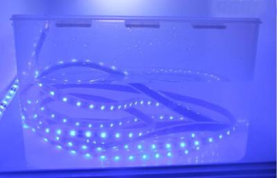 China 60Leds DC12V 24V IP68 Led Flex Strip Epistar Natural white Led Strip tape for sale