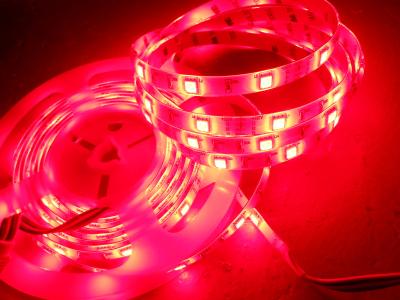 China 2700LM Super Bright IP65 Red Roll SMD 5050 LED Strip 150leds For Christmas tree for sale