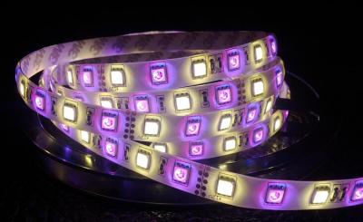 China 72W Multi Color 12v Low Voltage LED Strip SMD5050 with 120 degree Beam Angle for sale