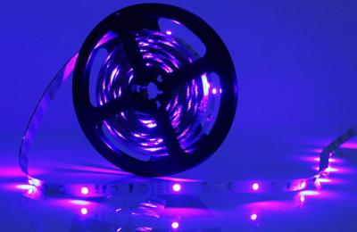 China 24w Purple 300leds 12v SMD 3528 LED Strip for sale