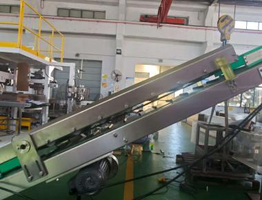 China Intelligent Salt-Specific Packaging Machine Production Line for sale