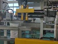 China Salt Packaging Machine Assembly Line Solution High Speed VFFS and Open Mouth Bagging Integration for sale
