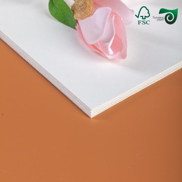 Quality 250G 300G Ivory Board SBS Paper Board One Side Coated White Sheets FSC for sale