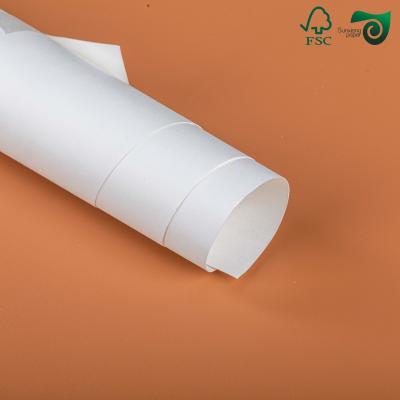 China 180gsm 230gsm Uncoated Woodfree White Paper In Roll For Producing Shopping Bag Wholesale China for sale