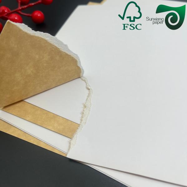 Quality 175gsm 200gsm White Top Liner Paper For Tissue Converting White Kraft Liner for sale