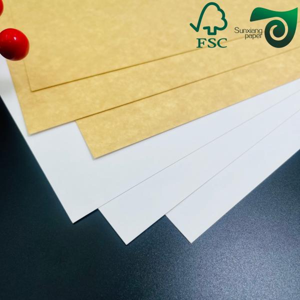 Quality 175gsm 200gsm White Top Liner Paper For Tissue Converting White Kraft Liner for sale