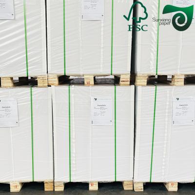 China Eco Friendly Printed Carbonless NCR Paper Jumbo Roll 80gsm For Office Use for sale