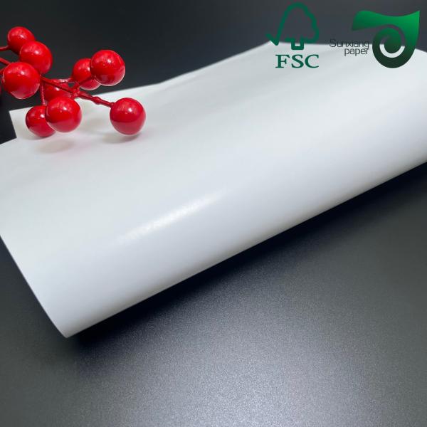Quality FSC Custom Size 160gsm 180gsm Inkjet Printing C2S Art Paper For Books for sale