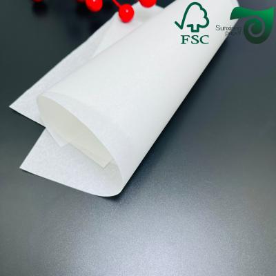 Cina 60g Blister Medical Paper per siringa usa e getta 794mm 510mm Roll in vendita