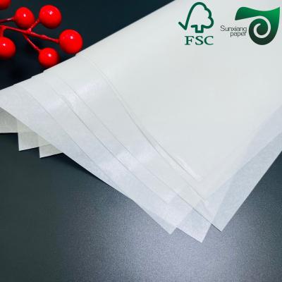 Cina 60g Blister Medical Paper per siringa usa e getta 794mm 510mm Roll in vendita