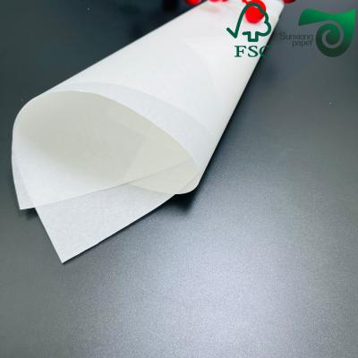 Cina 60g Blister Medical Paper per siringa usa e getta 794mm 510mm Roll in vendita