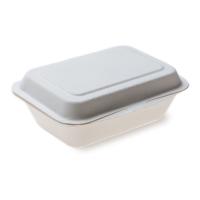 China Sugarcane Biodegradable Clamshell Boxes Tableware Take out Food for sale