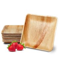 China OEM Biodegradable Palm Leaf Plates With Laminated Packing for sale