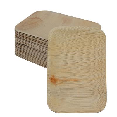 China OEM Biodegradable Palm Leaf Plates With Laminated Packing for sale