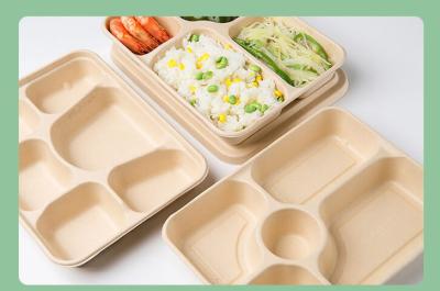 China One Time Use Dinner Plate Biodegradable Food Containers Compostable for sale