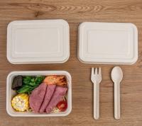 China Disposable Lunch Biodegradable Take Away Food Package Container for sale