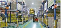 China Warehouse High Density Cold Storage System Large Capacity Customized Color for sale