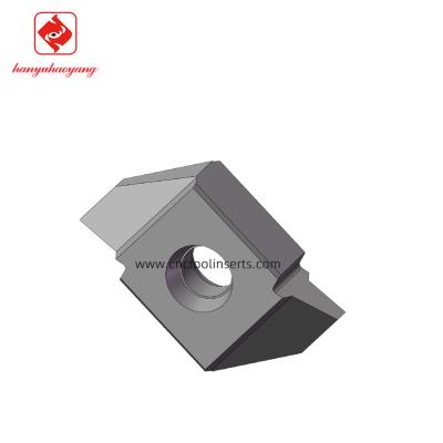 Cina Tipo di personalizzazione: Fresa a vortice non standard HYWP5767 per la produzione di stampi e oltre in vendita