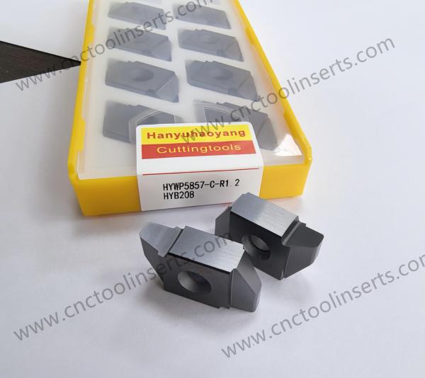 Quality High Precision Whirling Milling Blade HYWP5857-C-R1.2 Non-Standard Design and End Coating for Cemented Carbide Material for sale