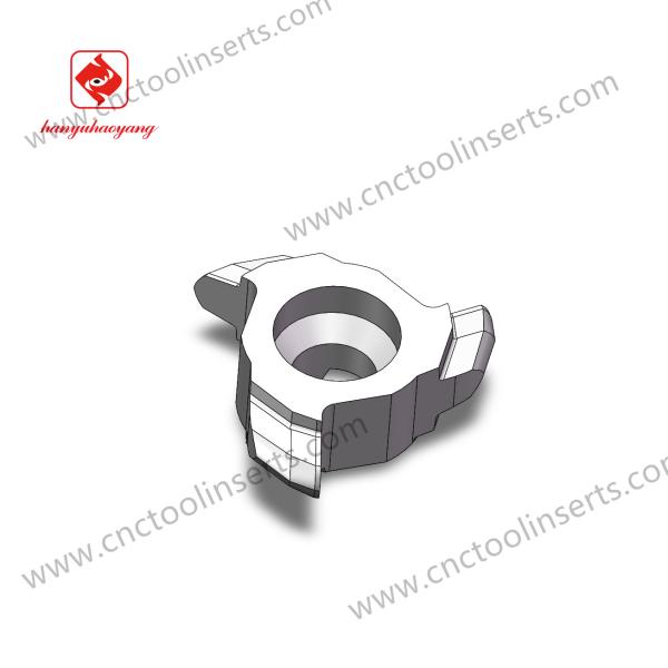 Quality Customizable Non-Standard Grooving Insert for Mold Manufacturing 313.5081.5611 for sale