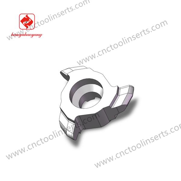 Quality Customizable Non-Standard Grooving Insert for Mold Manufacturing 313.5081.5611 for sale