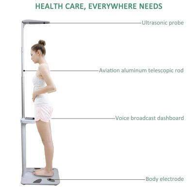 China Hospital/home use/school/drugstore Height measurement 80-195cm Muscle/Body bone/  Calories display/BMI for sale