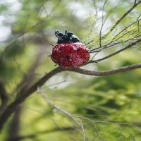 China Outdoor Ladybug Metal Yard Art Decor Wall Sculpture For Garden for sale