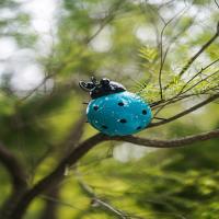 China Outdoor Ladybug Metal Yard Art Decor Wall Sculpture For Garden for sale