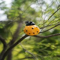 China Outdoor Ladybug Metal Yard Art Decor Wall Sculpture For Garden for sale
