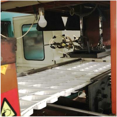 China heat-resisting PP Plastic Sheet Rolls for Making Thermoformed Disposable Plastic PP cups for sale