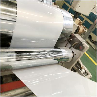 China Thermoforming 500 Micron PP Polypropylene Plastic Sheet in roll for sale