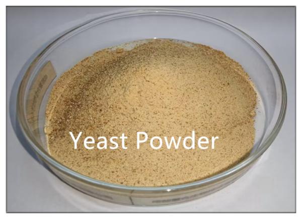 Quality Feed Additive Crude Protein 45% Dry Yeast Powder For Cow for sale