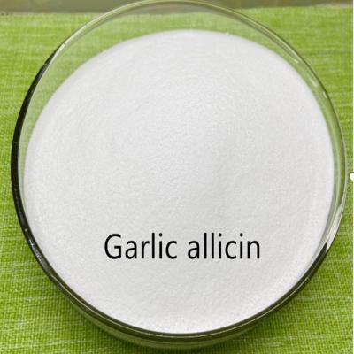 Allicine d'ail, poudre blanche pour améliorer l'apport en aliments pour animaux