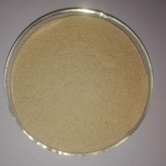 Quality Clostridium Butyricum Swine Probiotics Feed Additives For Digestive Health for sale