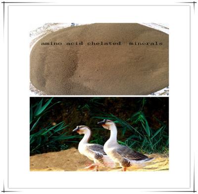 Китай 00,5% молибдена с аминокислотой, хелатированный органический корм для птицы продается