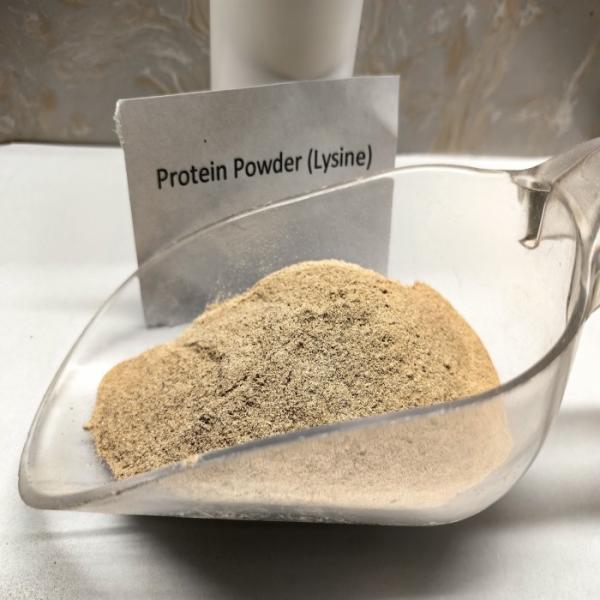 Quality Glutamic Acid Poultry Protein Supplement Animal Feed Additives For Breeding for sale