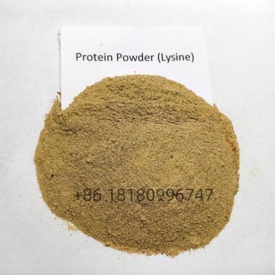 Cina Zinc organico per mangimi Aminoacidi chelati Zn per promuovere le cellule epiteliali intestinali degli animali in vendita